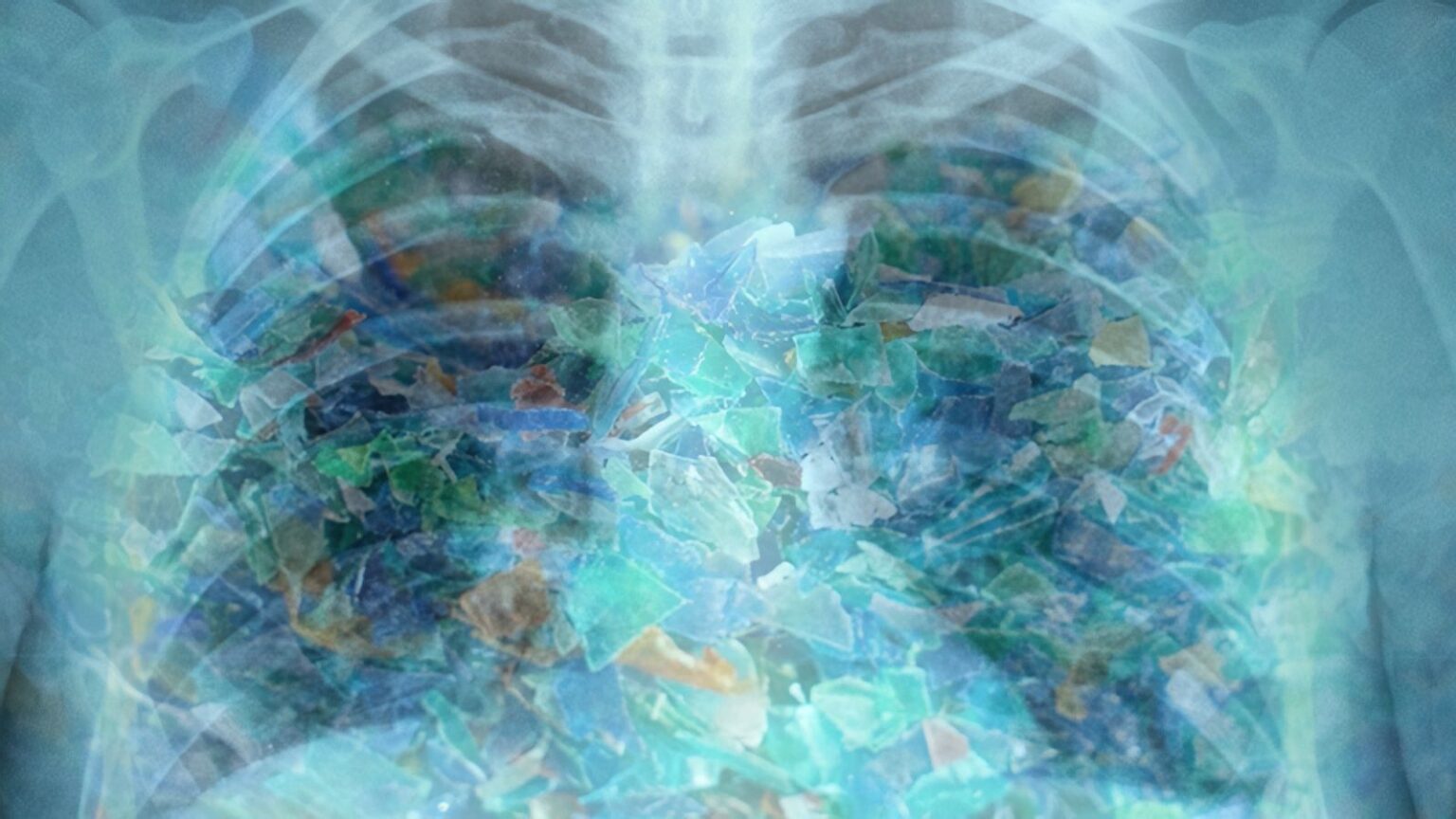 Los residuos plásticos invaden el cuerpo humano: Estas son sus graves ...