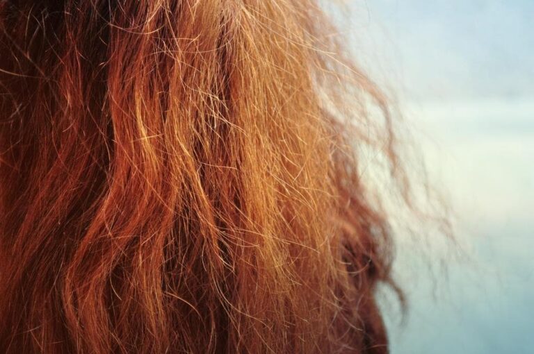 Cabello que se encrespa con la humedad: No es genético, es falta de ...